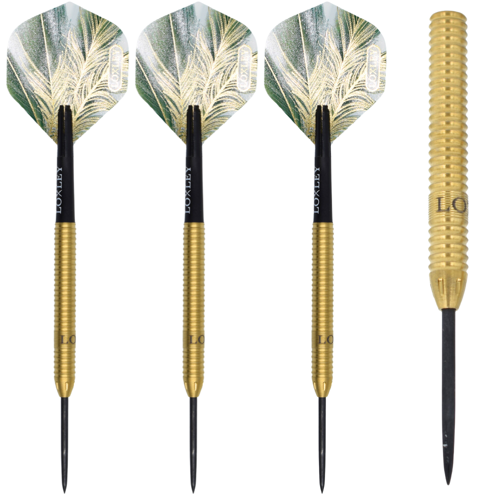 Loxley - The Turtle Darts – Darts Centre